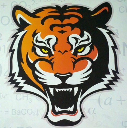 MSHSAA Frontier STEM Charter High School - School Information