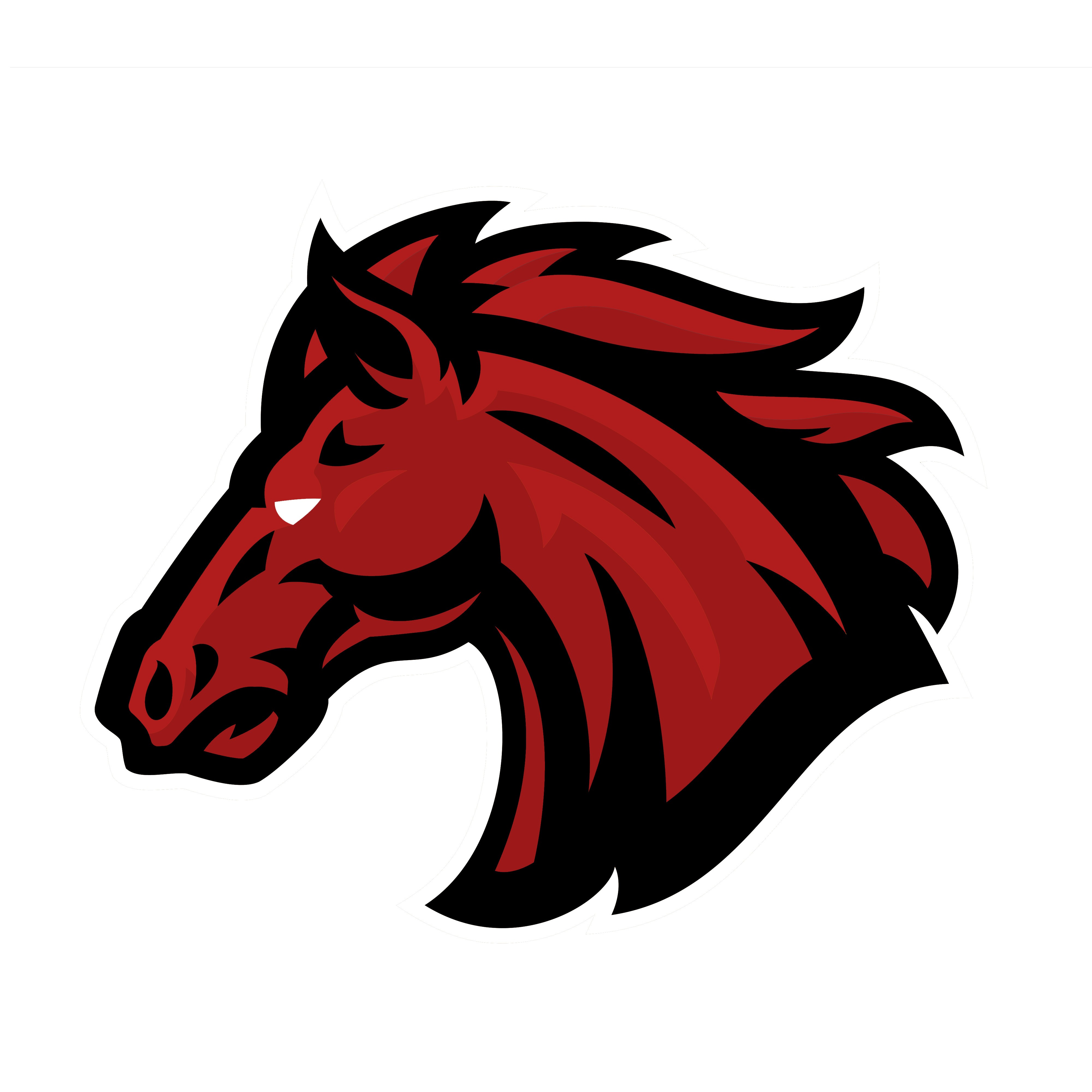 MSHSAA Marion County High School MSHSAA Home Page