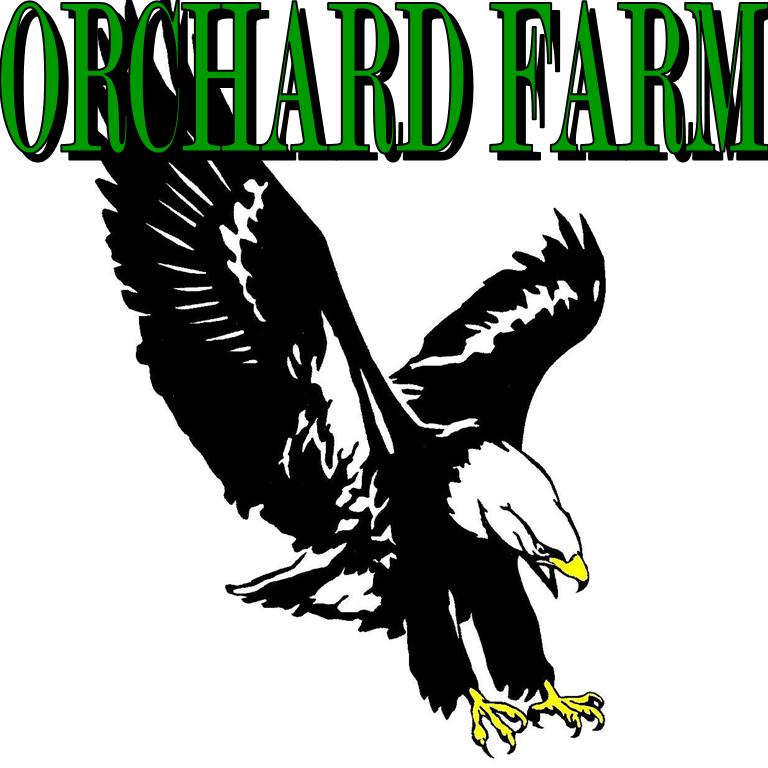 MSHSAA Orchard Farm High School - School Information